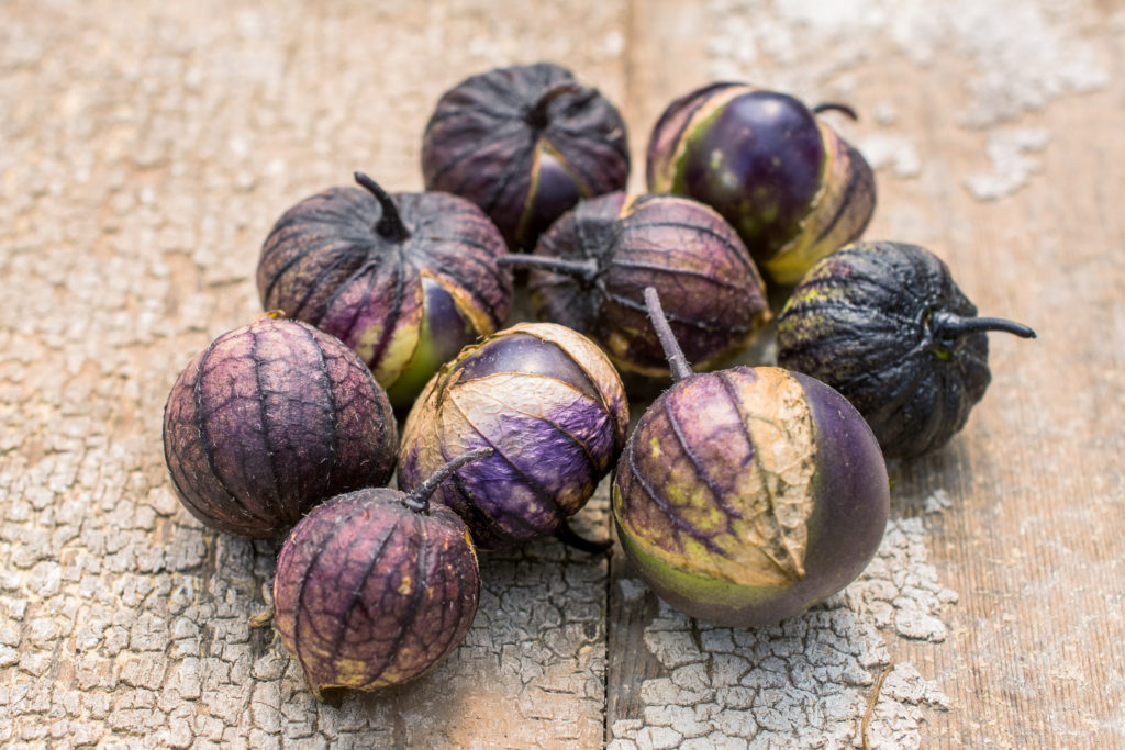 Growing and Cooking Tangy Tomatillos - Countryside